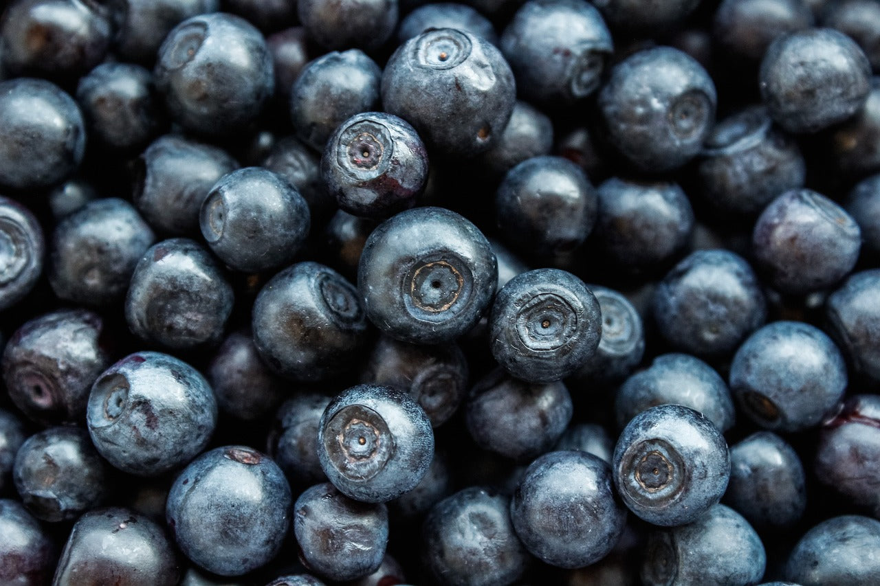 Blueberries – Real Food UK
