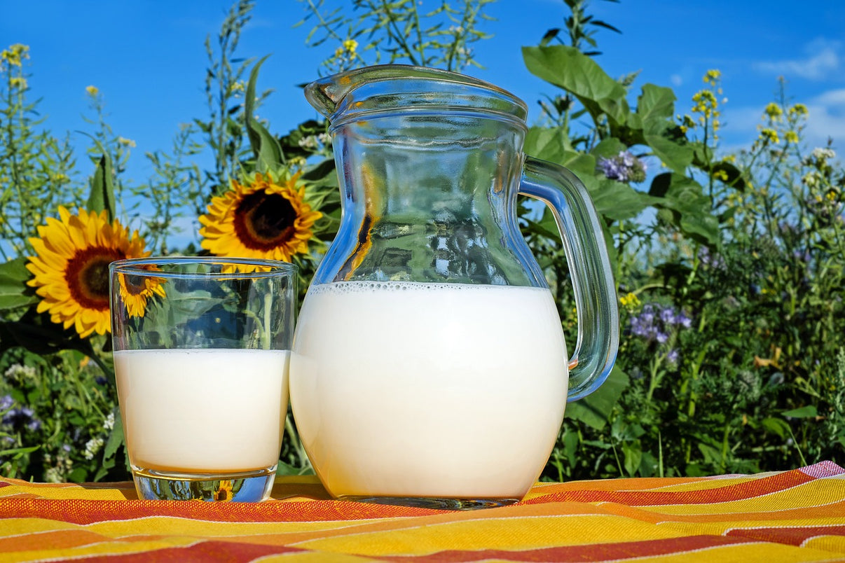 Raw Milk – Real Food UK