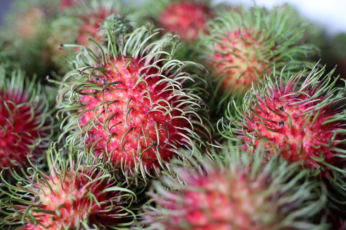 Rambutan – Real Food UK